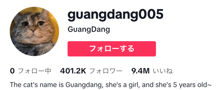 猫ミームの元ネタ10選！売れ残り猫・ダイエット中の猫など意外な本家も判明 | M.M.PRESS